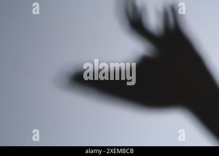 Shadow of hands like deer on light background, closeup with space for ...