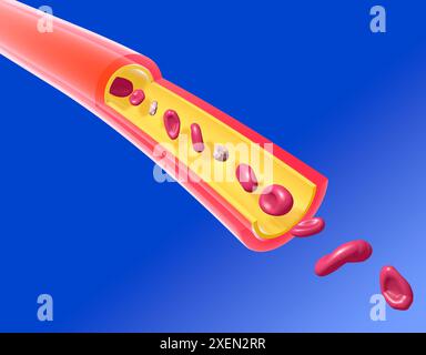 Triglycerides formation, illustration Stock Photo - Alamy