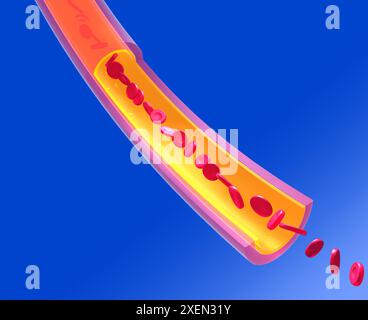 Triglycerides formation, illustration Stock Photo - Alamy
