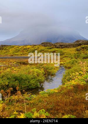 Oasis Herdubreidarlindir, river Lindaa and volcano Herdubreid ...
