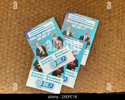general election 2024 reform uk party leaflets on a mat in north london ...