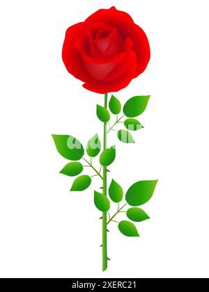 beautiful and tropical flower garden Stock Vector Image & Art - Alamy