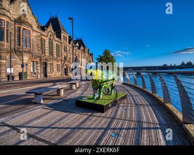 The Hairy Highland Coo Trail installed I the Perth & Kinross area by ...