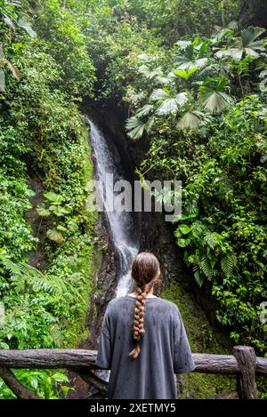 Bleu morphs waterfall, Mistico Hanging Bridge Park, Costa Rica, Central ...