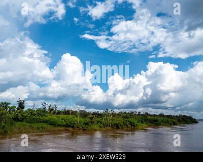 Landscape on the Amazon River (here called Solimões River) east of ...