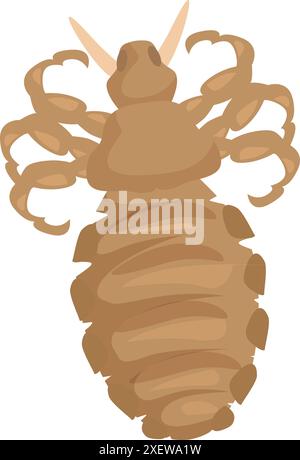 Body louse insect with six legs and segmented body spreading diseases ...