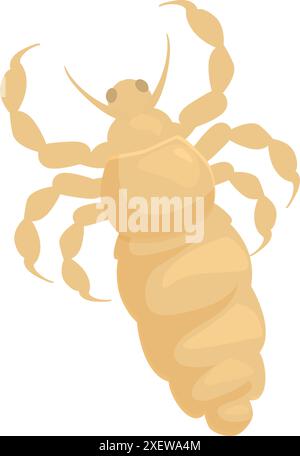 Body louse isolated on a white background, a parasite living on the ...