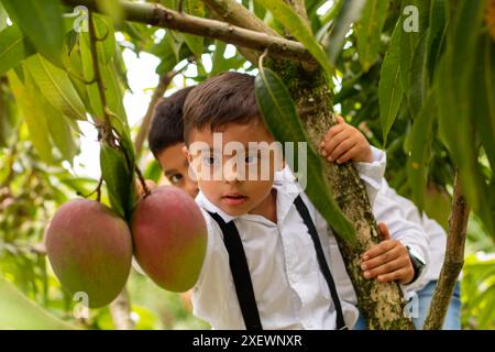 lifestyle: child with down syndrome climbed in a tree to reach for ...