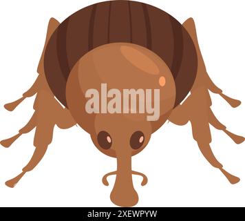 Illustration of a brown weevil walking with its head down. Brown weevil ...