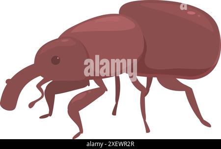Red weevil walking side view showing head thorax abdomen and legs. Red ...