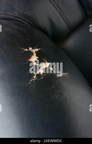 Old Torn Material Sofa Upholstery Surface Worn Fabric Furniture Vintage ...
