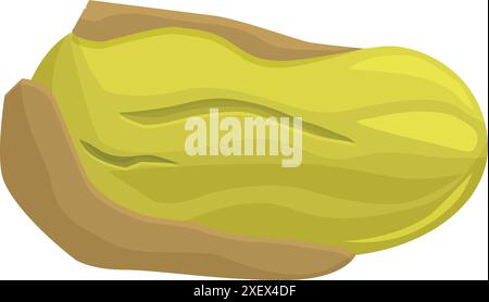 Pistachio nut with open shell lying horizontally isolated on white ...