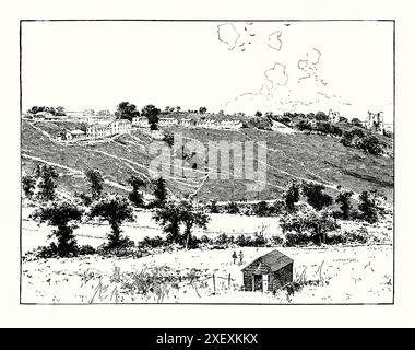 Agriculture in Britain in the 1800's - Old regional farming ploughs ...