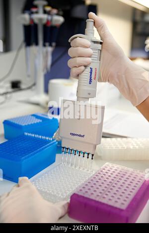 Preparing samples for DNA sequencing, Genomics Unit, DNA and RNA ...