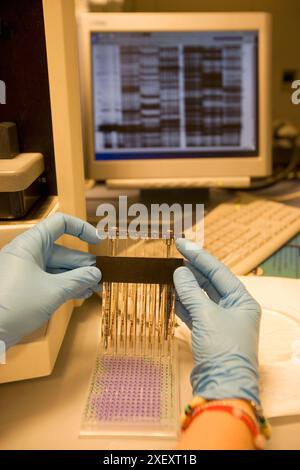 Polyacrylamide gel electrophoresis. Automatic sequencer. LICOR system ...