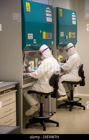 Research on mad cow disease and avian flu, Laboratory of Bio-Safety ...