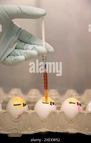 Laboratory of Bio-Safety Level P3, Departamento de Producción y Sanidad ...
