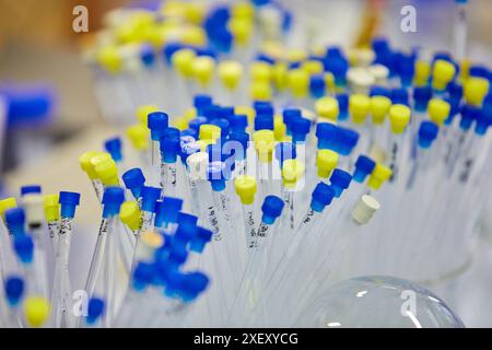 Chemical Laboratory, Energy Research, Araba, Basque Country, Spain ...