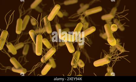 Medical animation of Helicobacter pylori bacteria inside stomach Stock ...