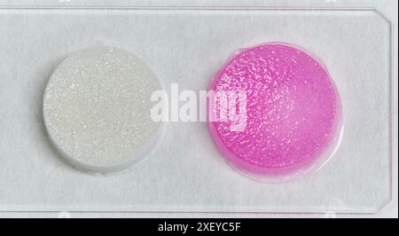 FATRIX, Decellularized regenerative matrix oriented to the treatment of ...