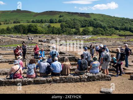 Vindolanda tour guide taking visitors around the Vindolanda Roman Fort ...