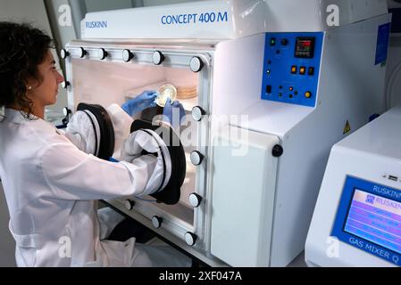 Atmosphere-controlled booth Cleanroom Microbiology Anaerobic ...