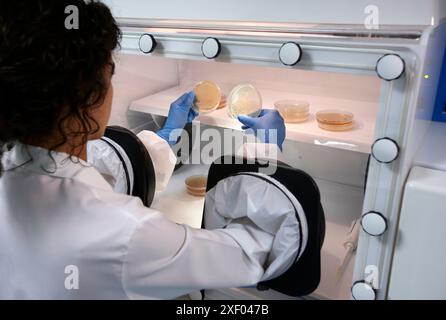 Atmosphere-controlled booth Cleanroom Microbiology Anaerobic ...