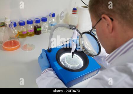 Microbiological count agar plate, Cleanroom Microbiology, Biotechnology ...