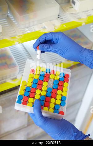 Experimental phase clinical trial, Storage of samples in freezer ...