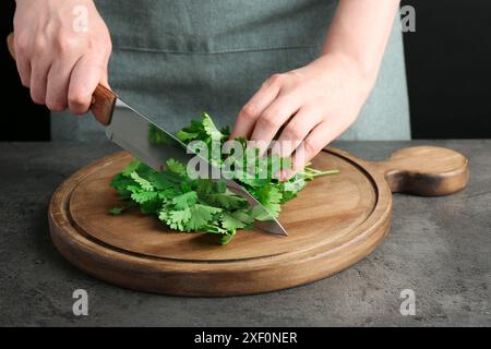 Woman cutting fresh coriander at grey textured table, top view Stock ...