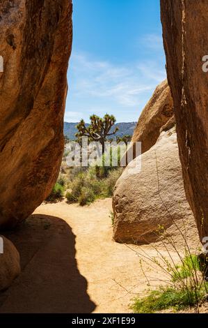 Unusual rock formations; Joshua Tree National Park; southern California ...
