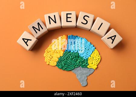 Word Amnesia and brain with sections made of plasticine on light blue ...