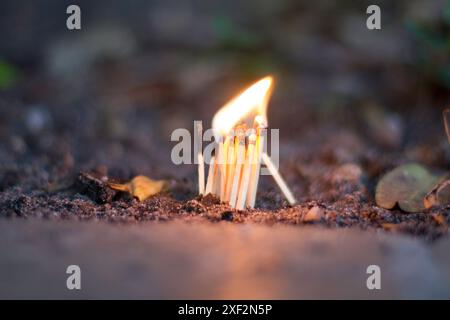 Mini Bonfire out the backyard with matches with bright flame and fire ...