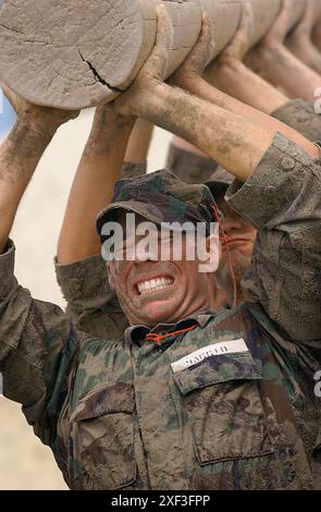 Military members lift logs for PT Stock Photo - Alamy