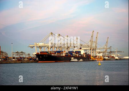 ECT Container Terminal at Sunet The Hutchison Ports ECT Delta Container ...