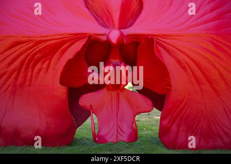 Light into Life (The Evolution of Forms) 2024 by Marc Quinn with the ...