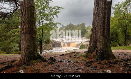 River Tees in full spate at the top of Cauldron Snout waterfall at Cow ...