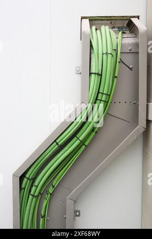 Electrical cable management and network Stock Photo - Alamy