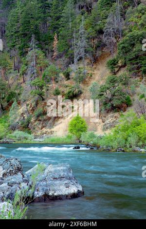 Creek canyon at Shasta-Trinity National Forest in the fall, displaying ...