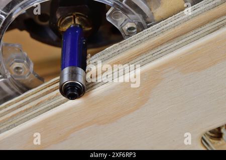 Wood router flush trim bit with double bearing. Template routing ...