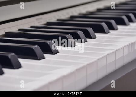 Piano keyboard side view perspective. Musical instrument. Black and ...