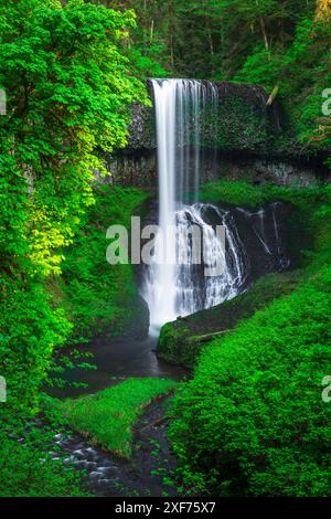 Middle North Falls, Silver Falls State Park, Oregon USA Stock Photo - Alamy