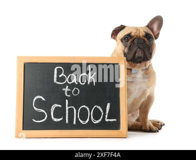 Cute children near blackboard with text BACK TO SCHOOL on yellow ...