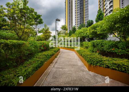 Rooftop outdoor green garden. Lush nature greenery landscaping facility ...