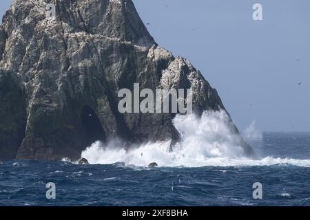 Shag rocks (South Georgia), Aurora Islands,islets, 53°32′51″S 42°01′12 ...