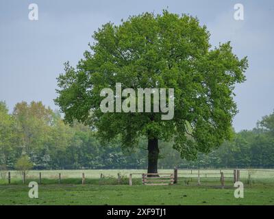 A large green meadow under a cloudy sunset sky Stock Photo - Alamy