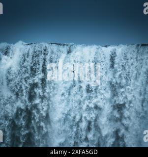 Seagull bird flying through powerful Skogafoss waterfall in summer at ...