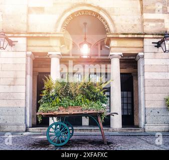 Old fashioned wooden barrow with boxes of flowers, outside the stores ...