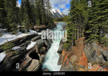 Numa Falls, Kootenay National Park, British Columbia, Canada Stock ...