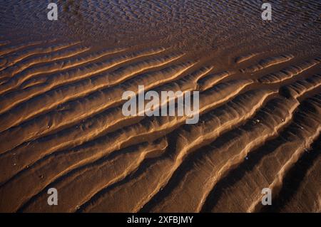 Sand ripples, wavy lines in the sand, structure, sandy beach, Meia ...